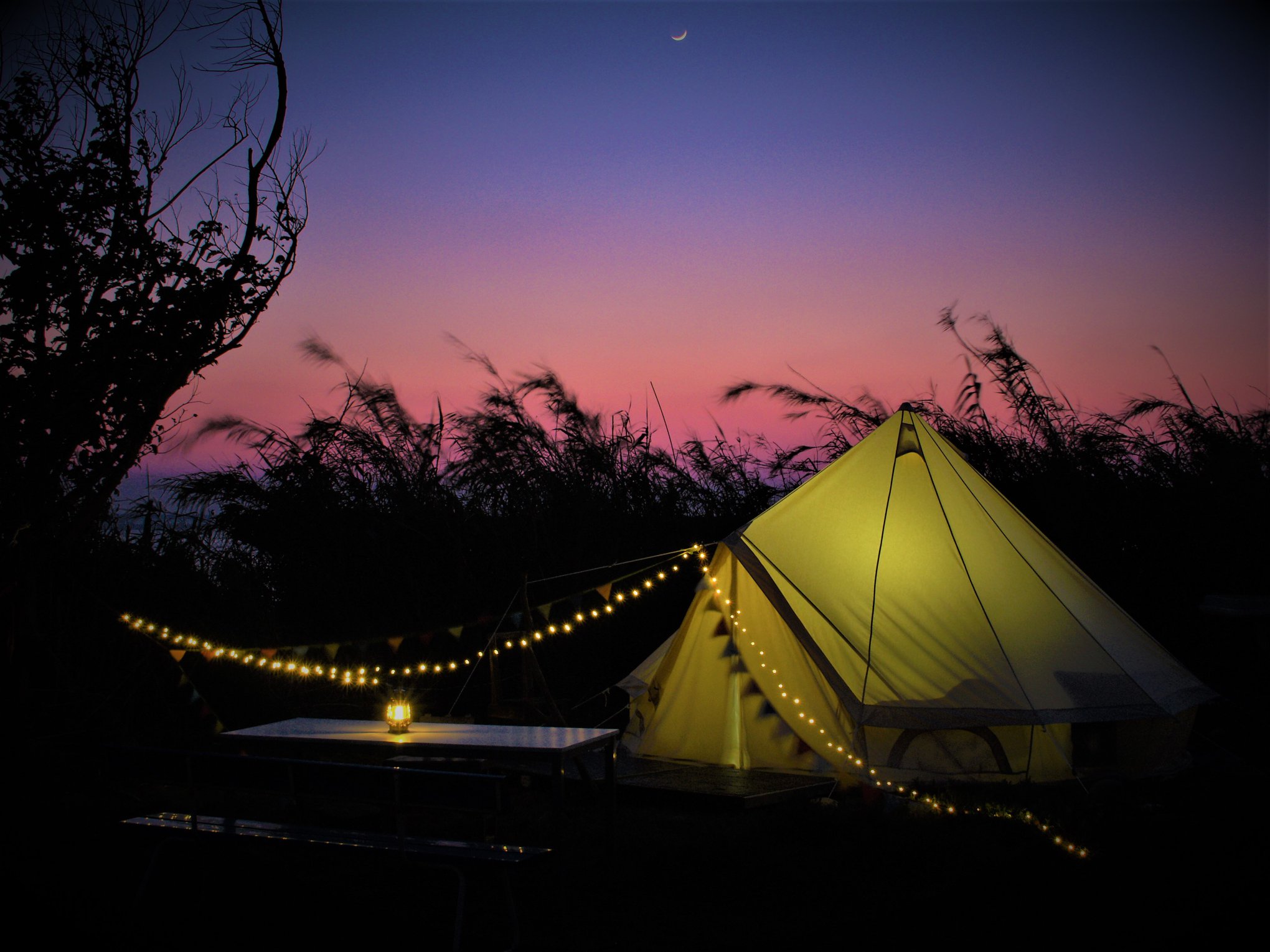 >> リクエスト受付中!! | INAKA PROJECT